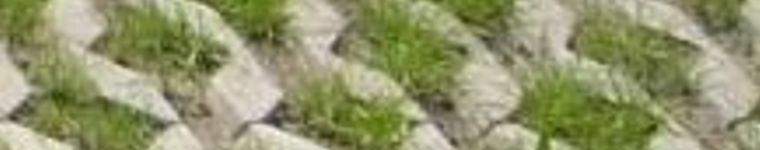 Grastegels - Onlinebetonstenen.nl